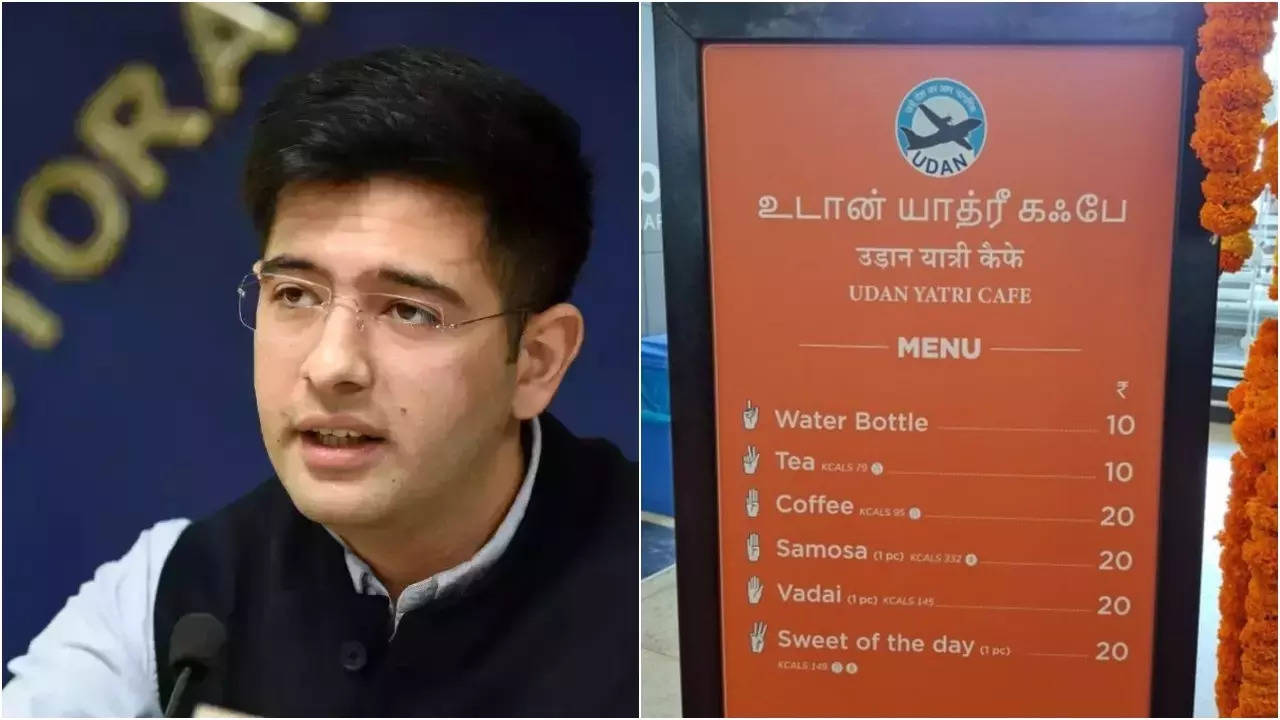 'A small spark can ... ': Raghav Chadha welcomes setting up of ...