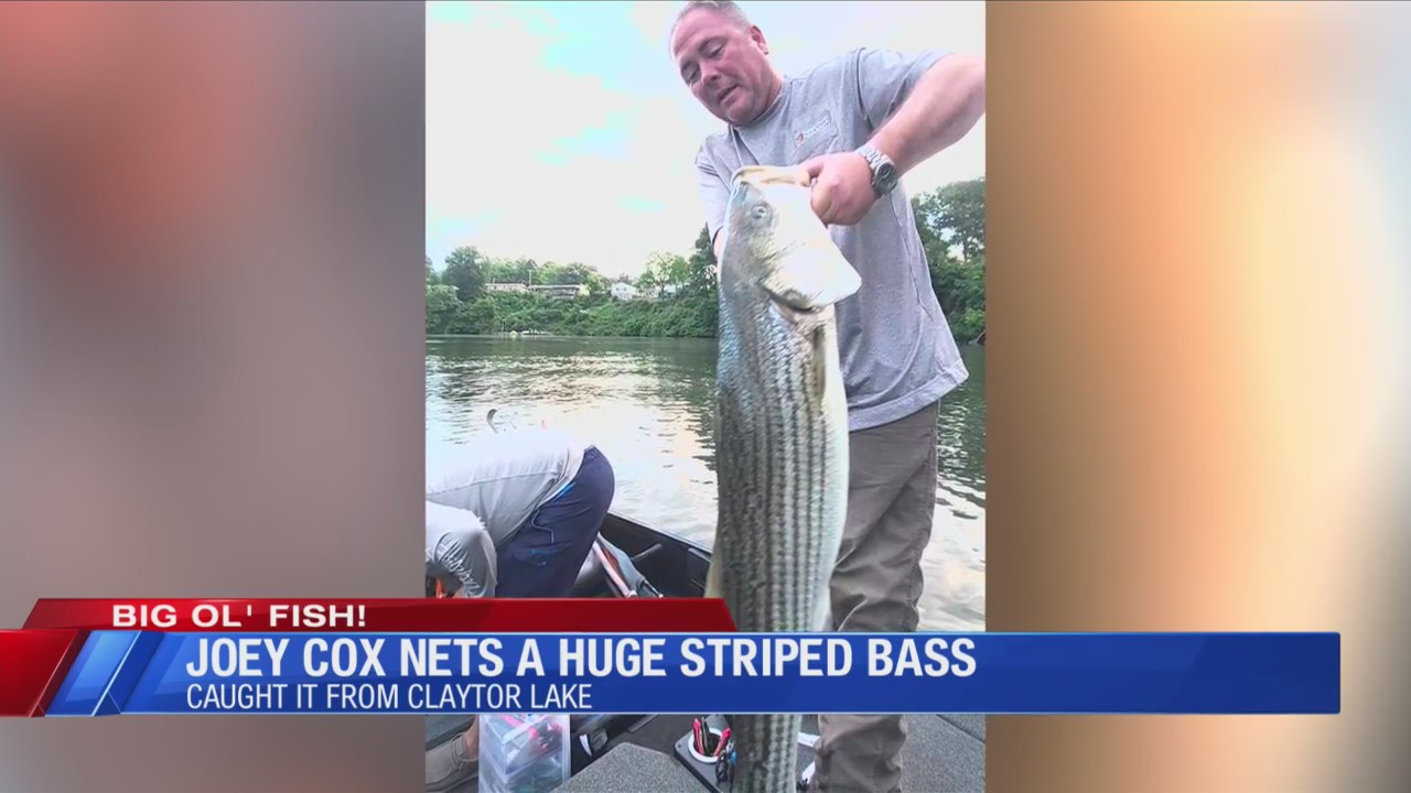 Big Ol’Fish – February 28, 2025