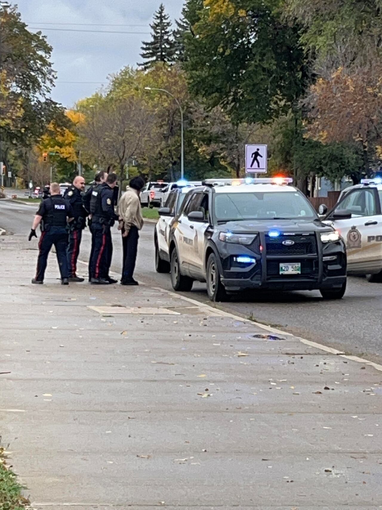 Brandon police officer charged with assault, dangerous driving after ...