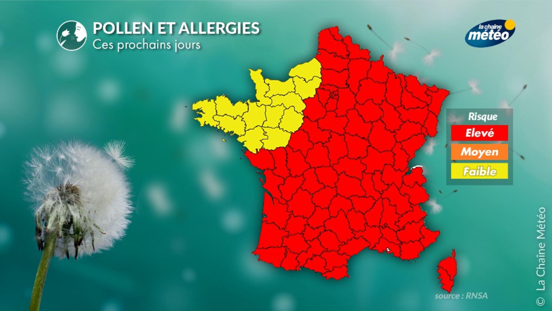 Pollens et allergies : risque maximal sur les trois quarts du pays