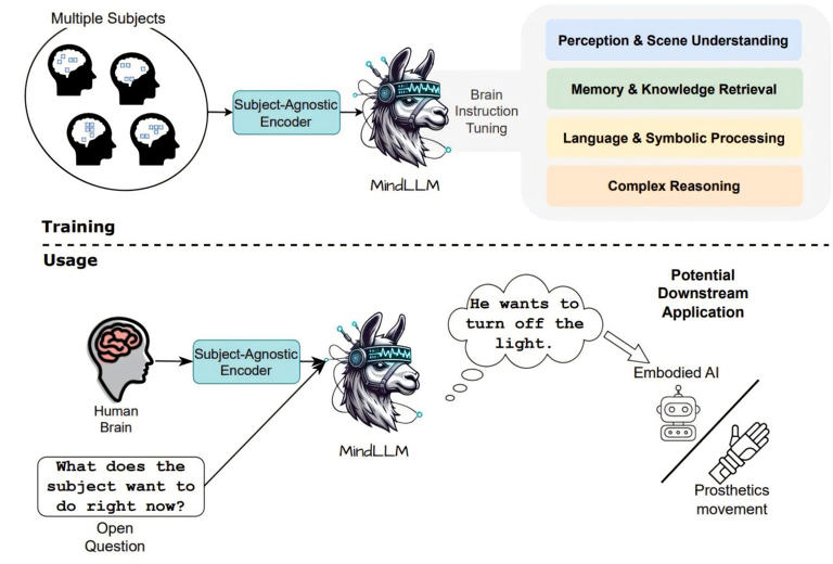 Direct translation of brain imaging to text with MindLLM
