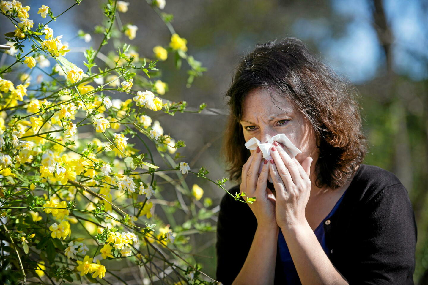 Les pollens arrivent plus tôt que prévu, 30 départements en alerte rouge