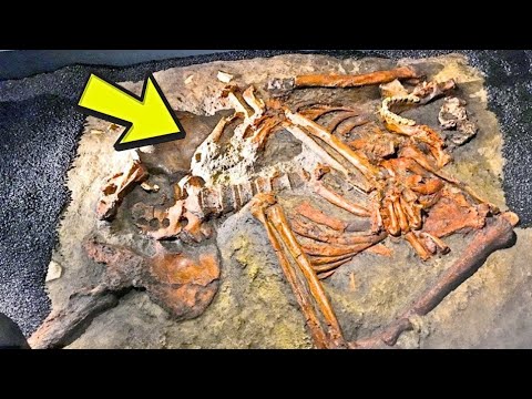 Scientists Find Evidence of 700,000-Year-Old Humans in the Philippines