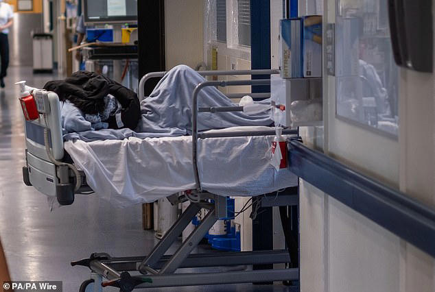 Vermin infested NHS hospitals are leaving patients fearing unsafe care