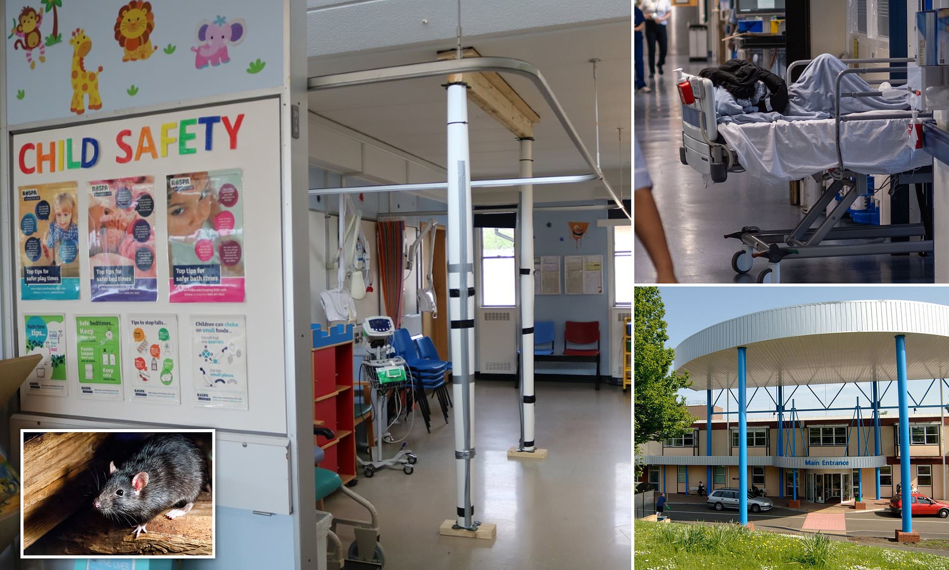 Vermin infested NHS hospitals are leaving patients fearing unsafe care