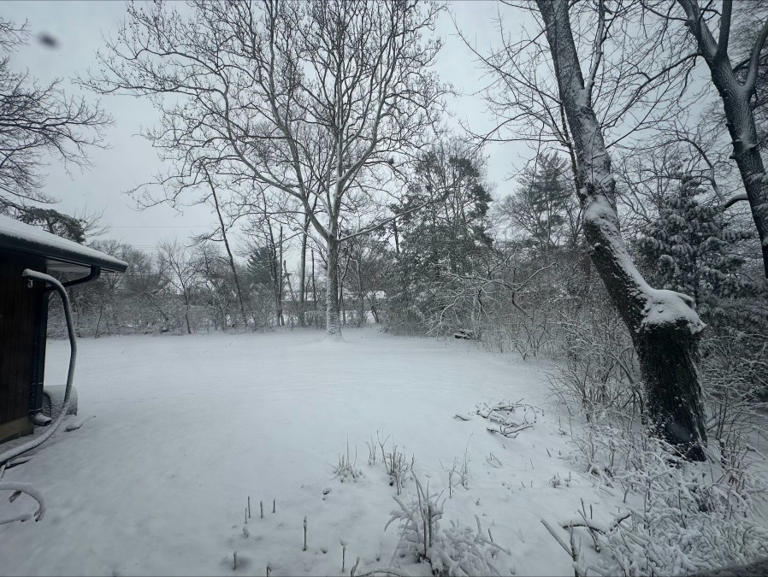 Central Ohio snow emergencies for Sunday, February 16