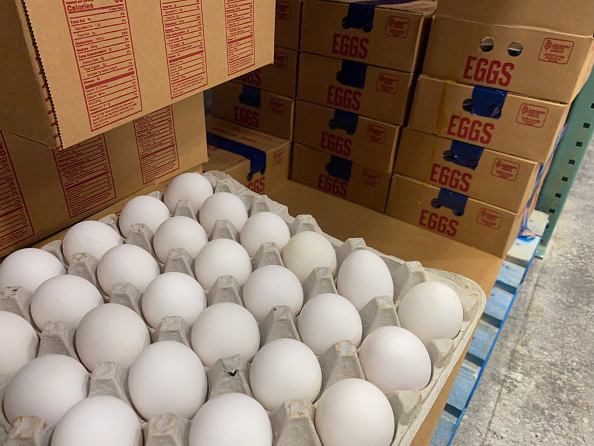 Do backyard chickens save money? Poultry expert weighs in Do backyard chickens save money? Poultry expert weighs in