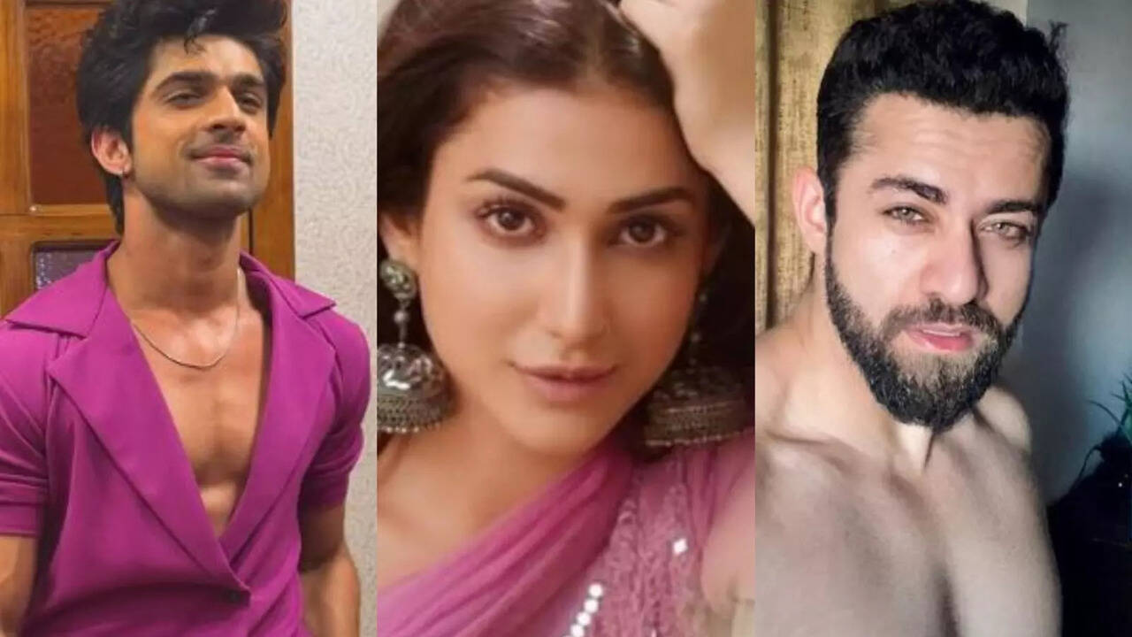 Abhishek Kumar, Amandeep Sidhu And Mahir Pandhi To Play Lead In Ravie-Sargun's Tujhse Hai ...