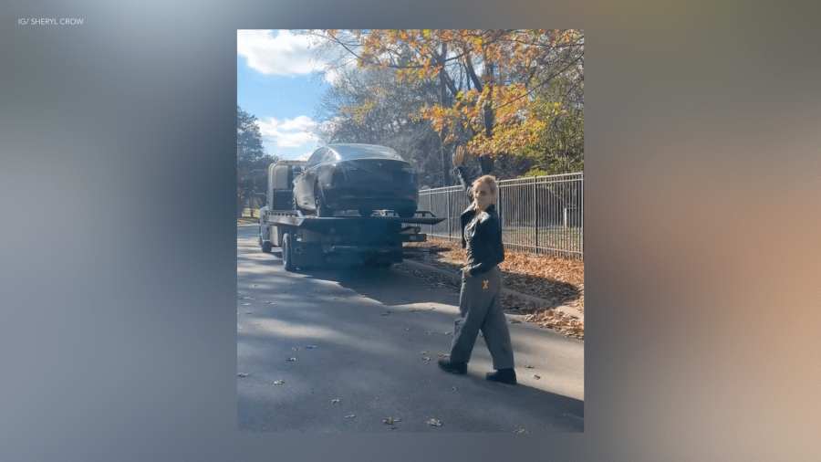 ‘So long Tesla’: Sheryl Crow ditches car due to affiliation with Elon Musk