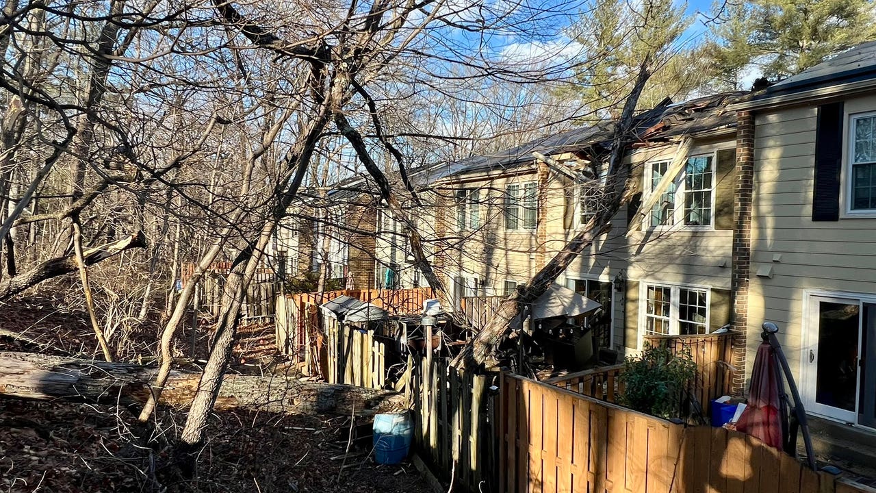 Severe winds down trees, damage homes, and disrupt traffic in ...