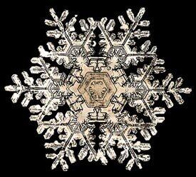 How do snowflakes form and what makes each different?