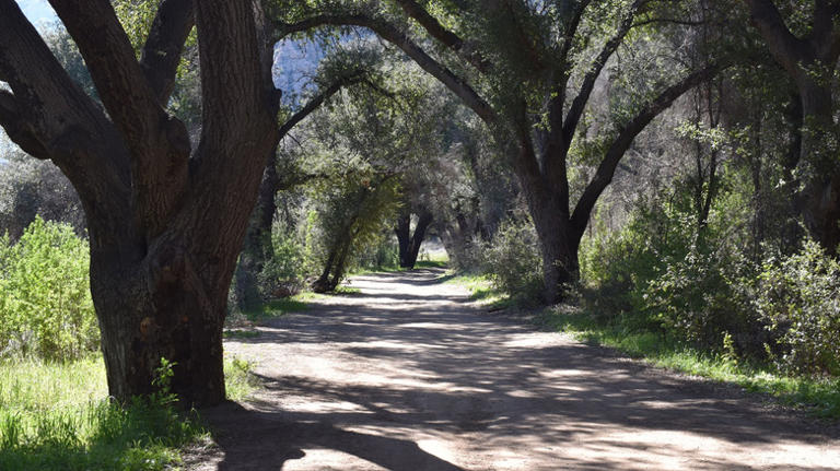The Historic State Park In Malibu That's A Total Hidden Gem For Hiking ...