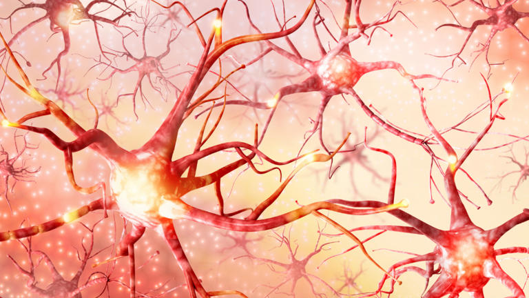 New research: Nerves may trigger pancreatic cancer