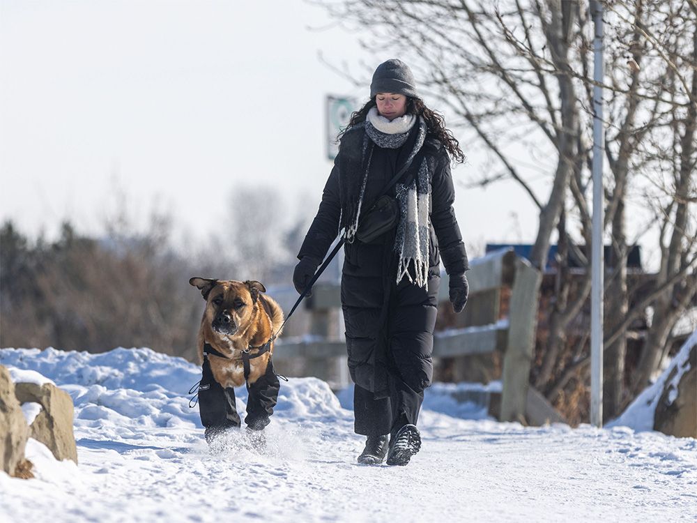 Extreme cold warning in effect for Calgary, with wind chill near -40