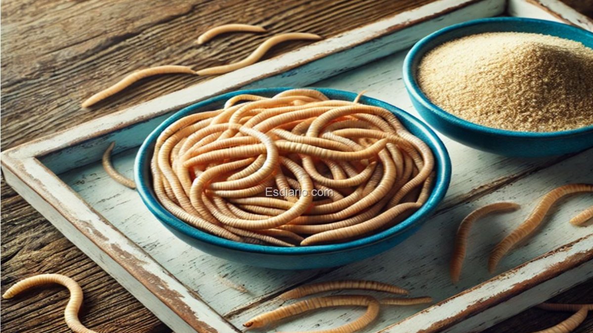 Harina de gusanos e insectos: como reconocer si un alimento la lleva