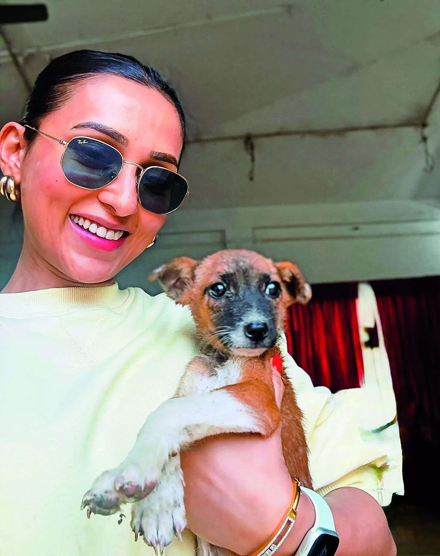 The rise of passive adoption: Supporting animals without bringing them home