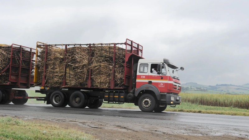 SA sugar industry unveils bold diversification plans amid crippling ...