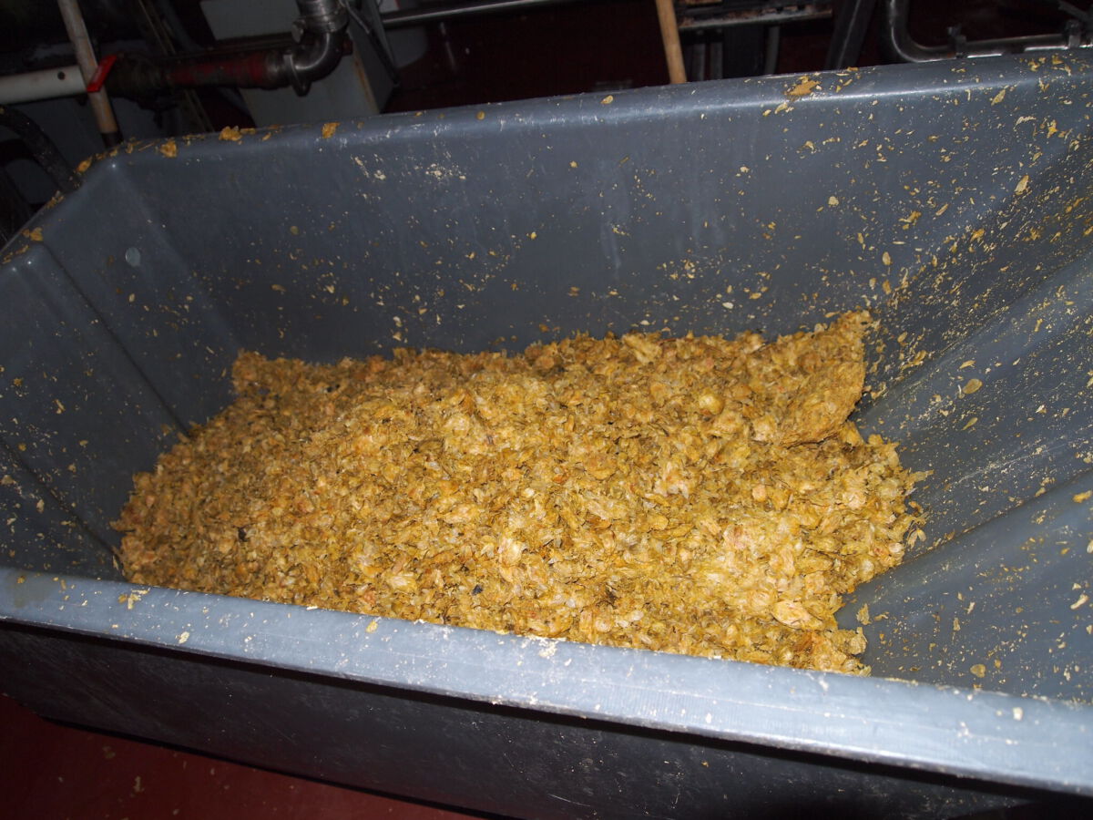 Kippenvoer uit de bierbrouwerij