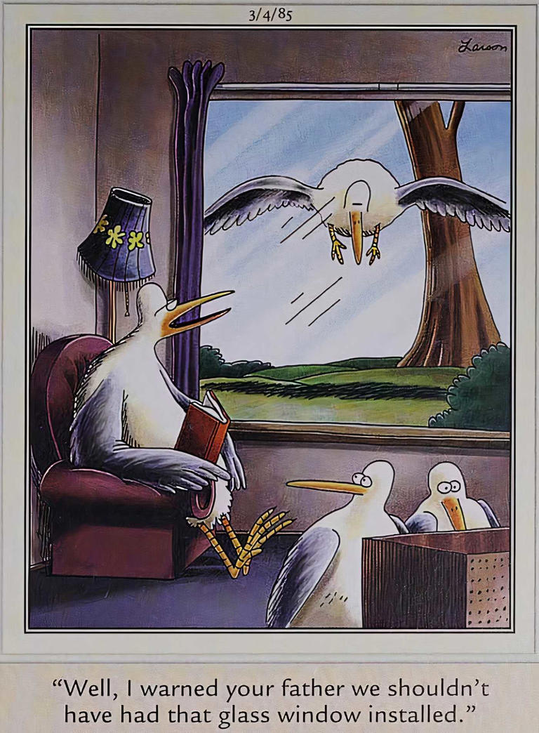 10 Hilarious Far Side Comics Where Birds Act Like Humans