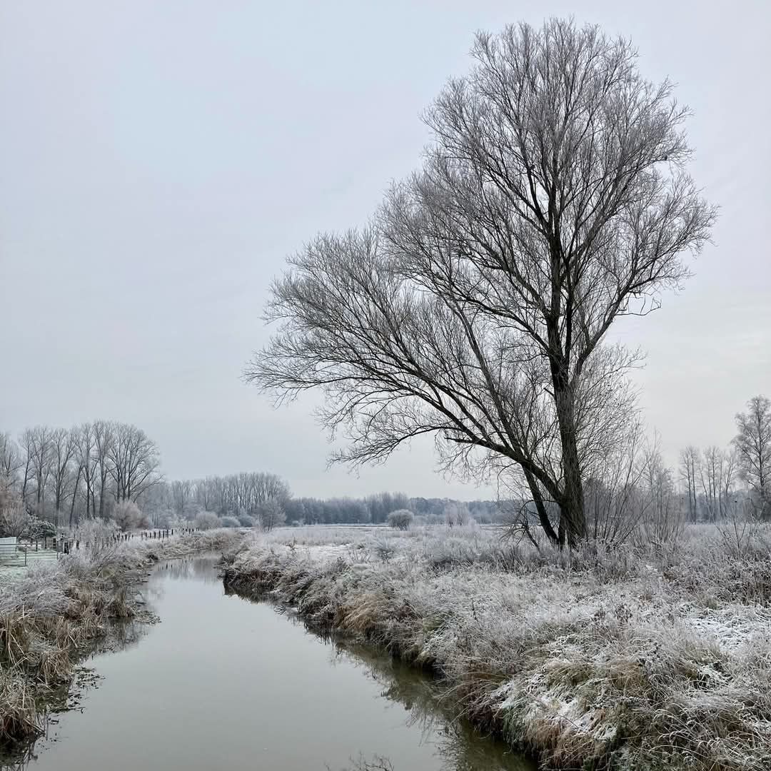 Weerman Samuel: "Winter maakt plaats voor lente, maar dan valt er even ...