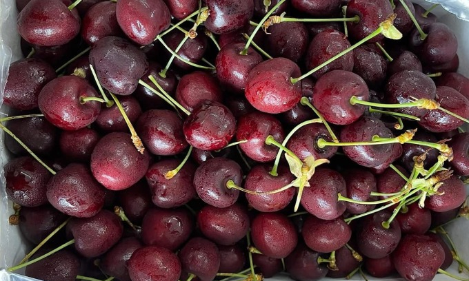 Chilean cherry prices plunge to less than $6 per kilogram