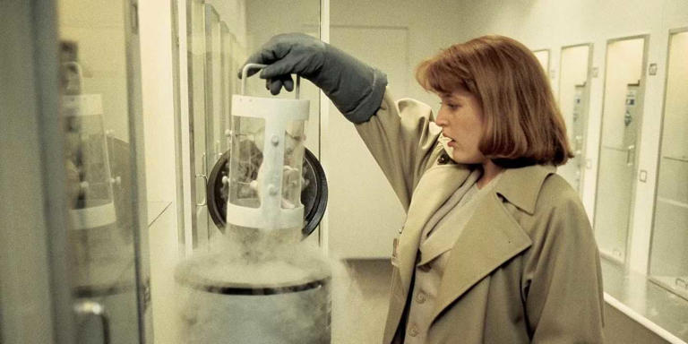 10 Perfect X-Files Episodes That Are Flawless From Beginning to End