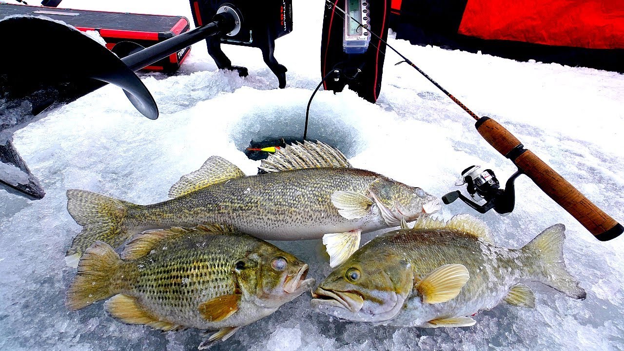 Epic Ice Fishing at a Loaded Spillway on Every Cast