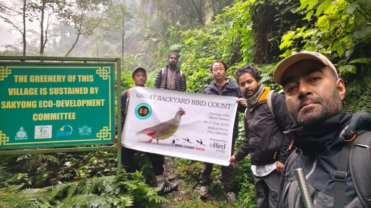 Sikkim: Rare birds documented in Dzongu Hills during backyard count