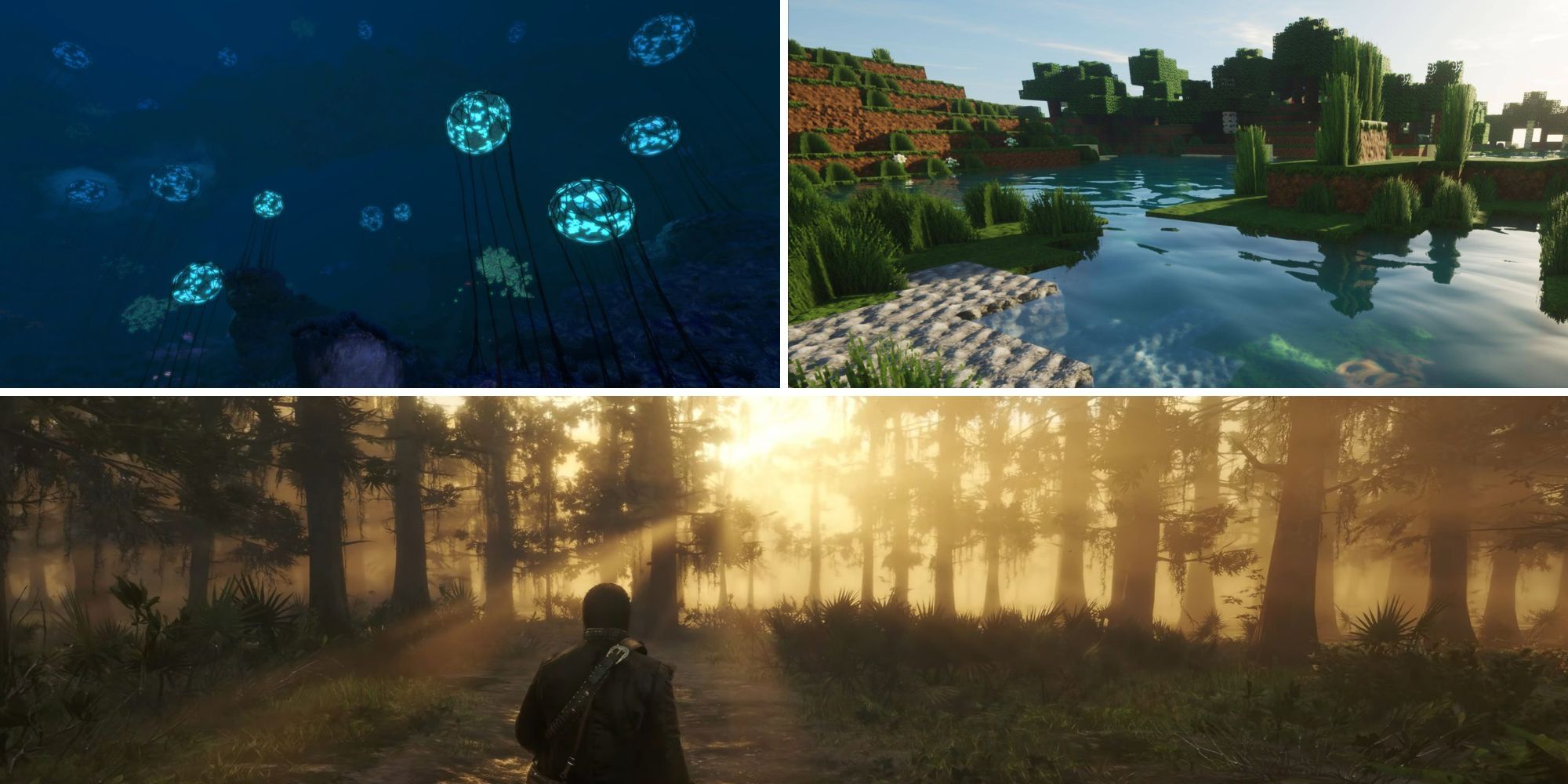 9 Open World Games With Diverse Biomes