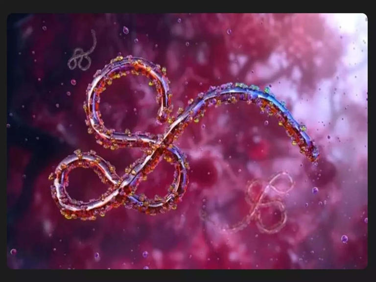 Ebola scare triggers panic after 2 patients transported from New York ...