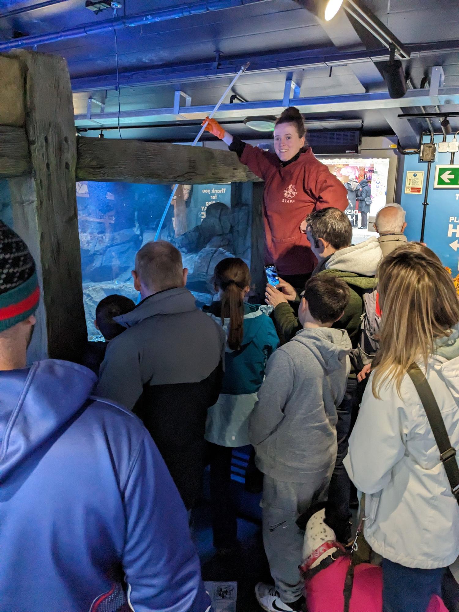 Whitby Marine Discovery Centre announces daily talks, all-day tickets ...