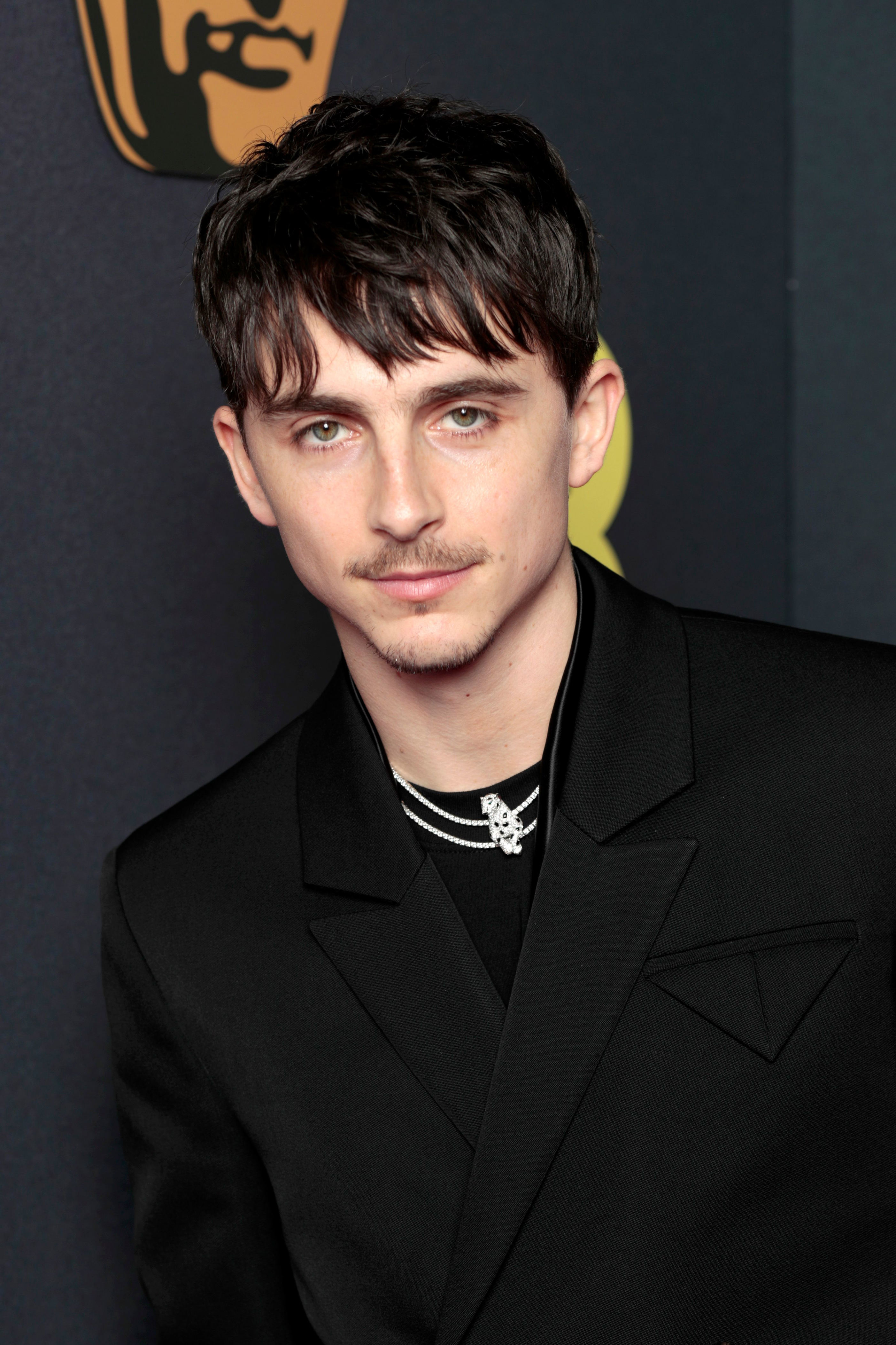 Avec ces bijoux Cartier, Timothée Chalamet et Kylie Jenner s'essayent ...