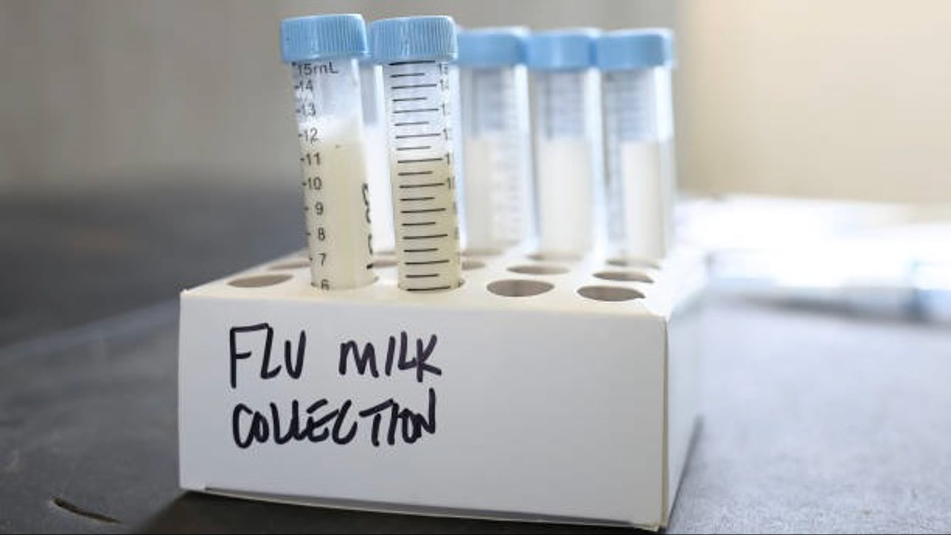 Trump Firings Hit 'Frontline' For Bird Flu Response