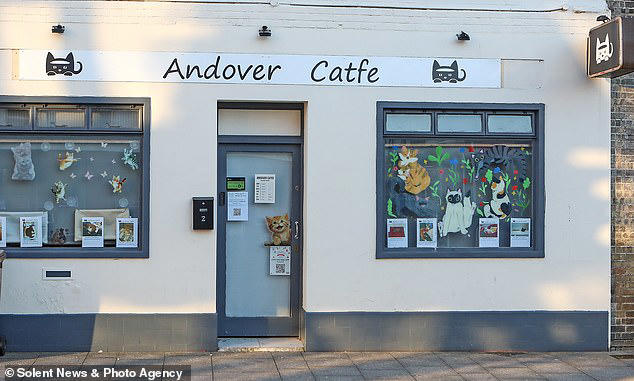 Council rules dog salon CAN open next to cat café amid planning battle