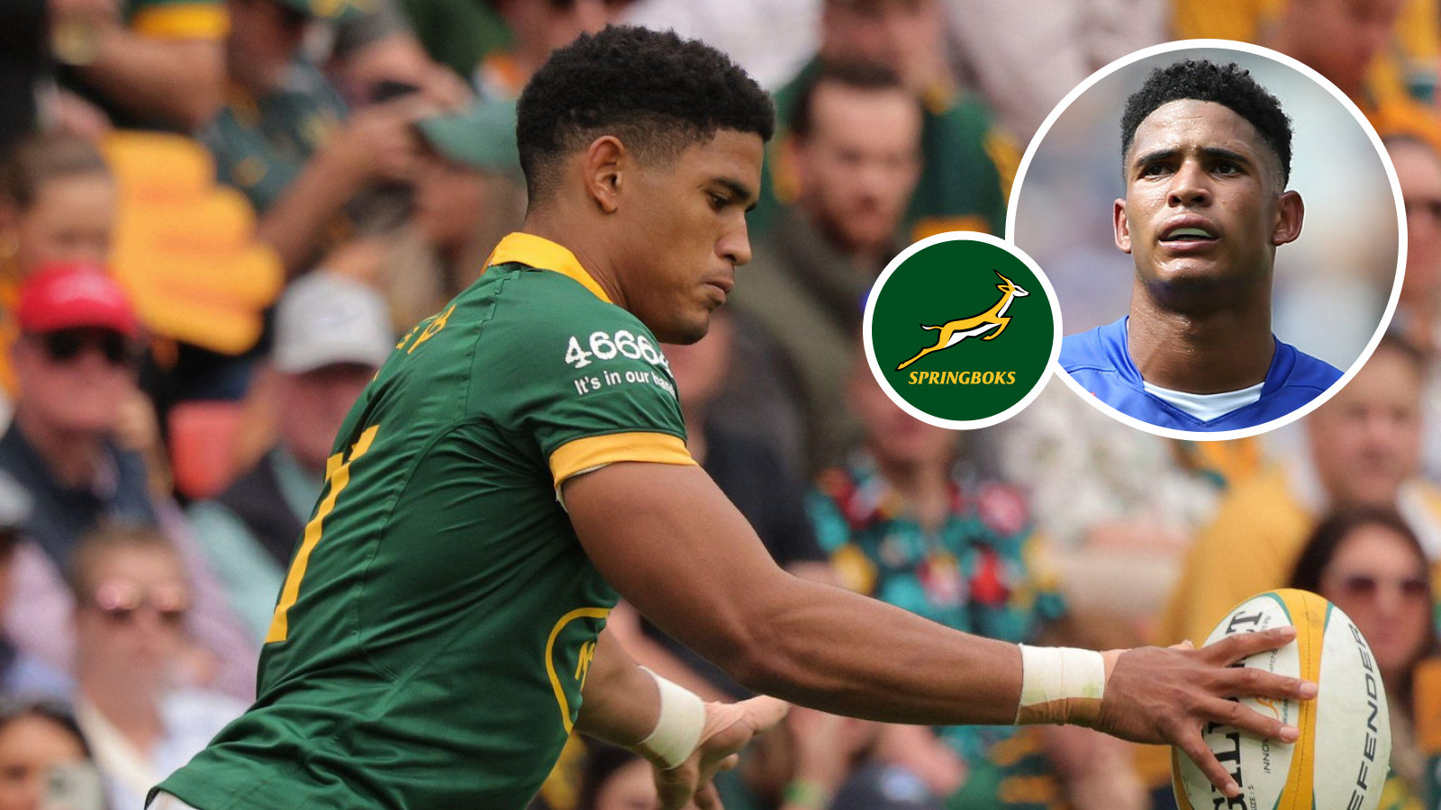 Sacha Feinberg-Mngomezulu ‘grinding hard’ as Springboks star reveals ...