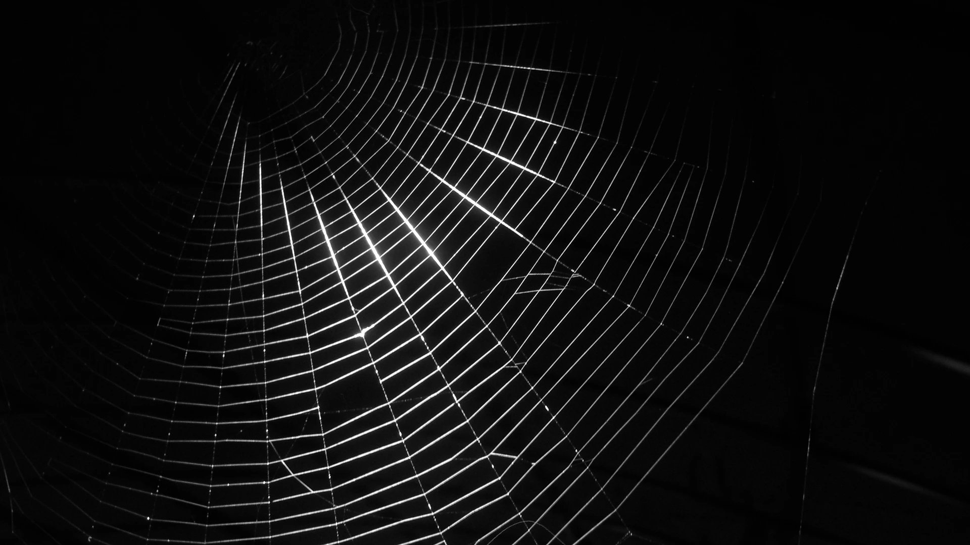 0xcEA Strikes Again? LIBRA’s Creator Tied to Multiple Crypto Scams