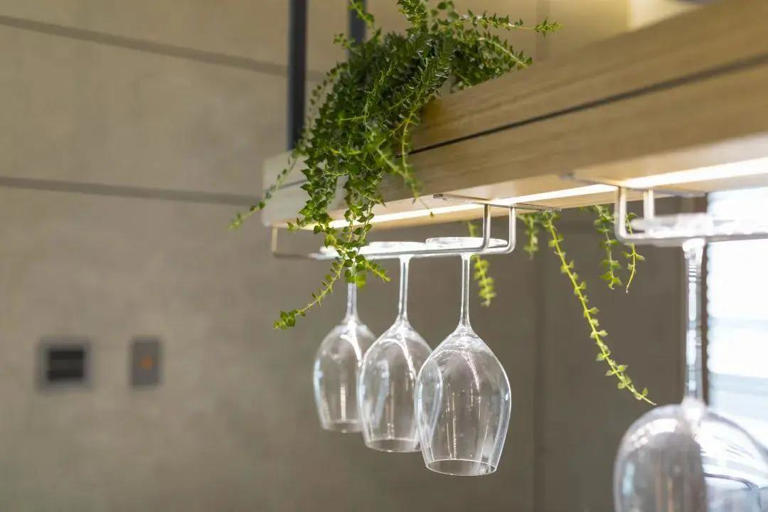 What it takes to be an F1 mechanic