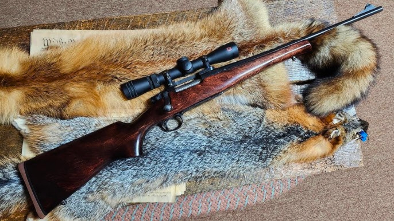 The Best Hunting Rifles