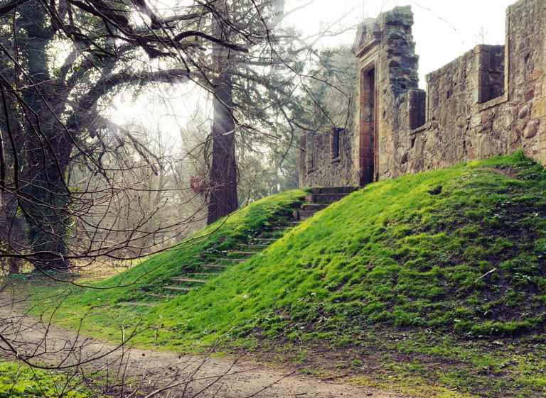 Edinburgh Spring Walks 2025: Here are 10 of the very best walks to ...