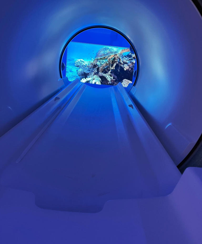 New Imaging Suite at Montagu Hospital set to expand diagnostic services ...