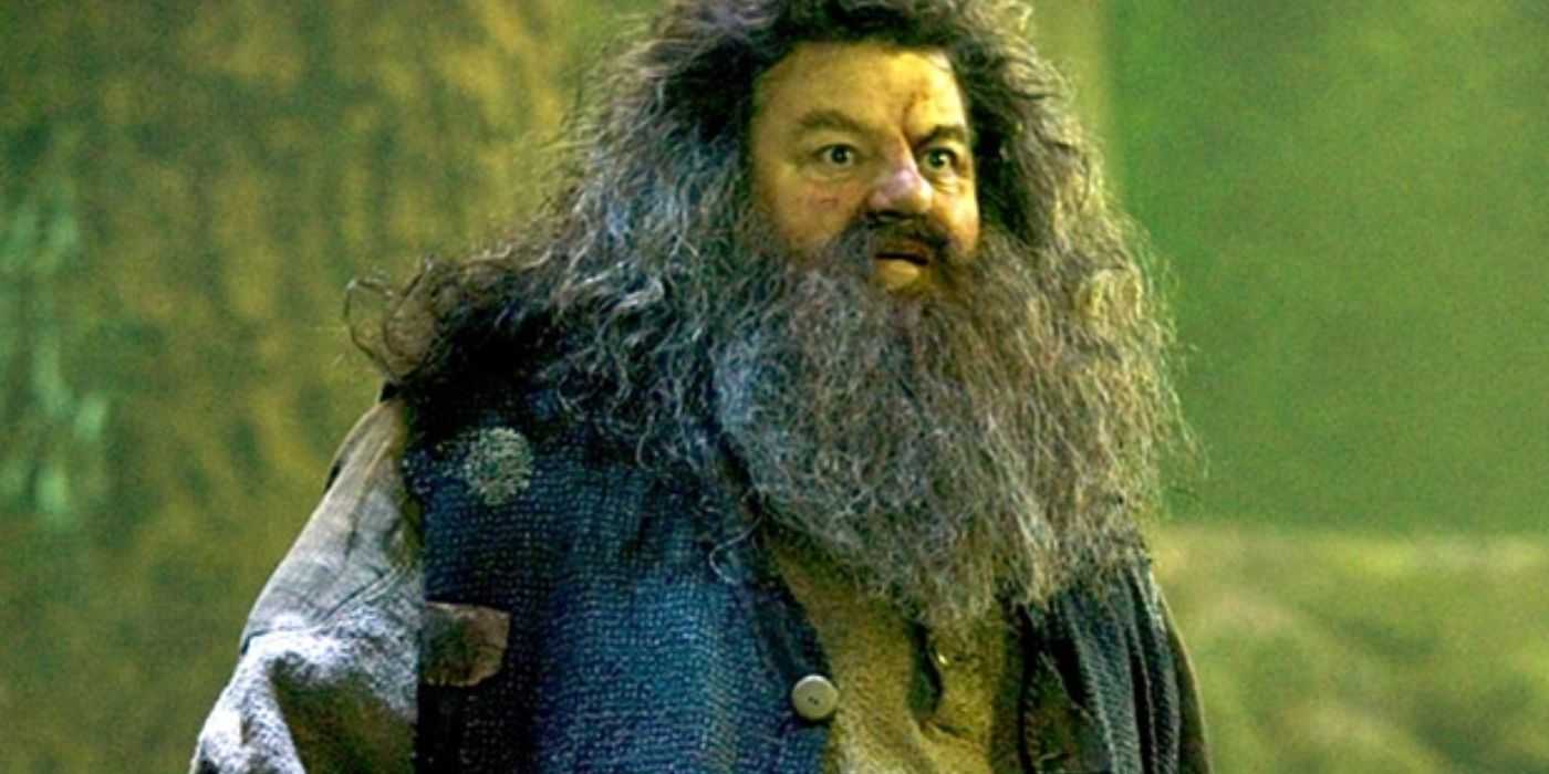 10 Things Only Harry Potter Book Readers Know About Hagrid