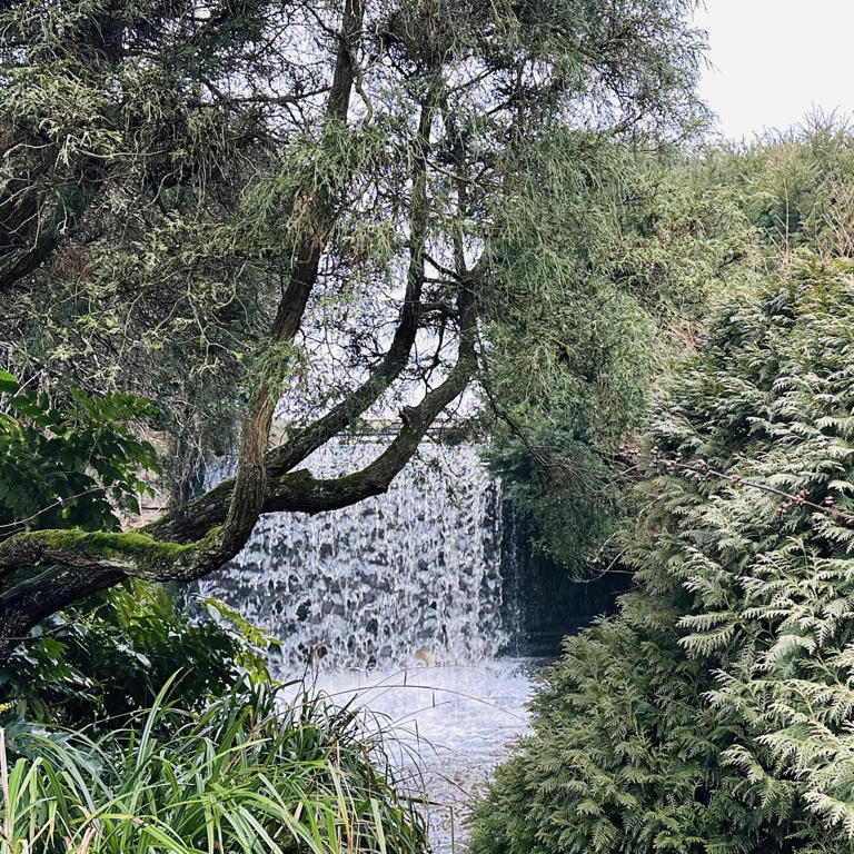 Newstead Abbey: A closer look at one of Nottinghamshire's historic ...