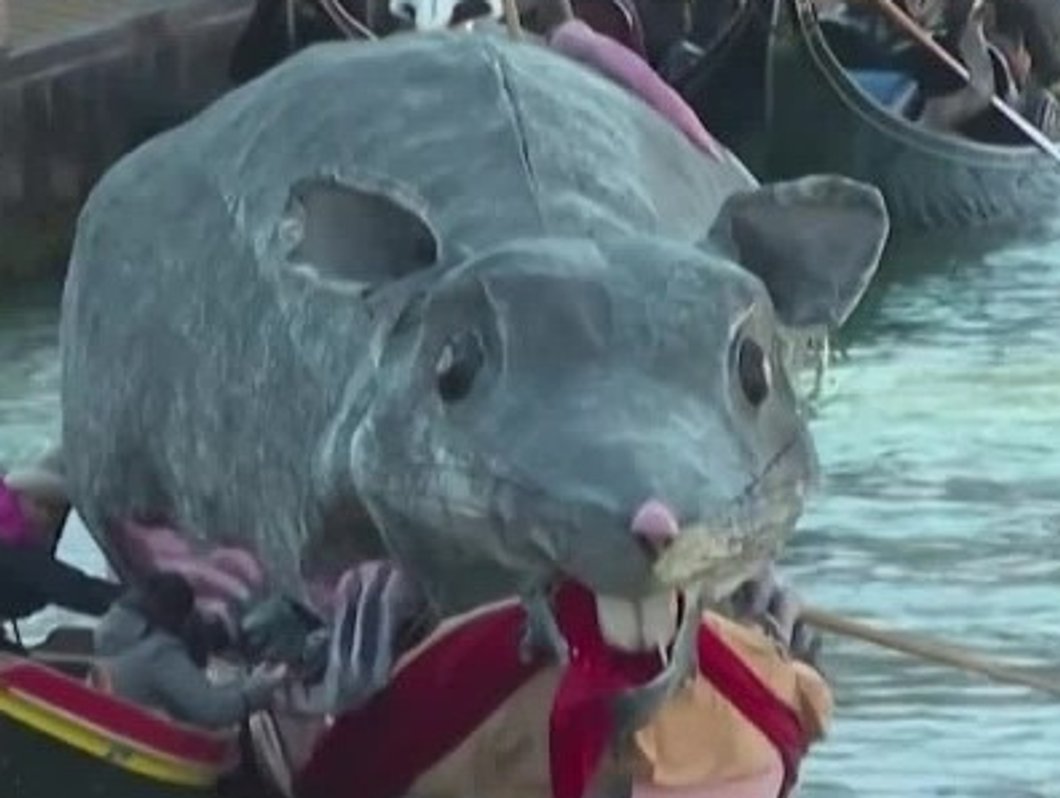 Carnival parade: The rats are loose in Venice