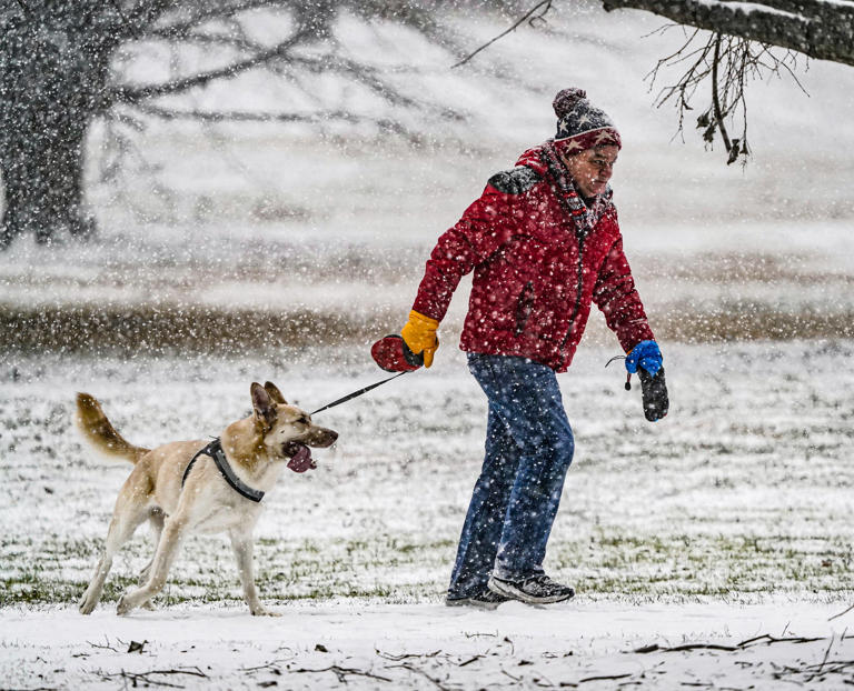 Here's much snow fell across Indiana on Sunday