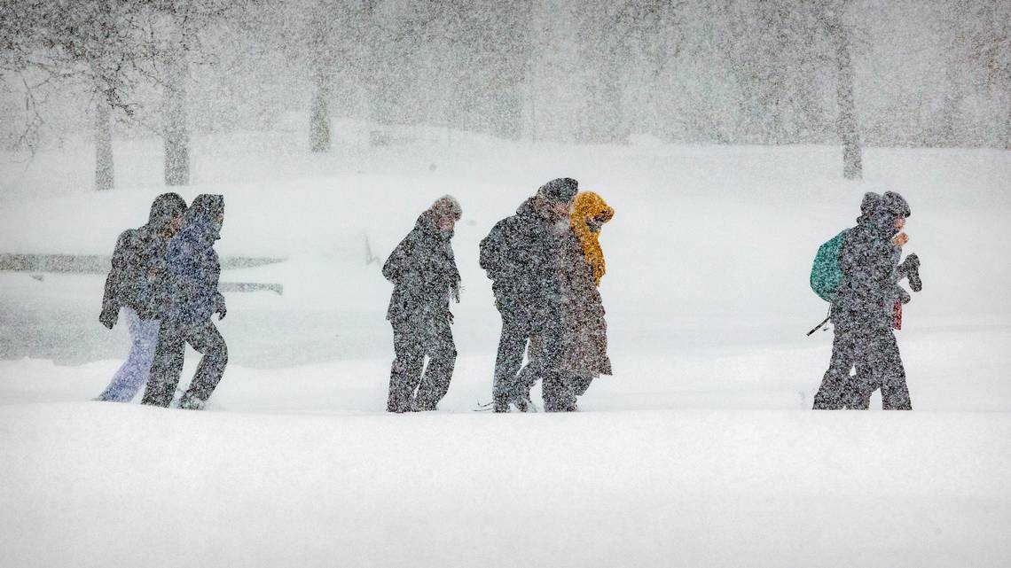 Blowing snow advisory issued as Montreal digs out from latest storm