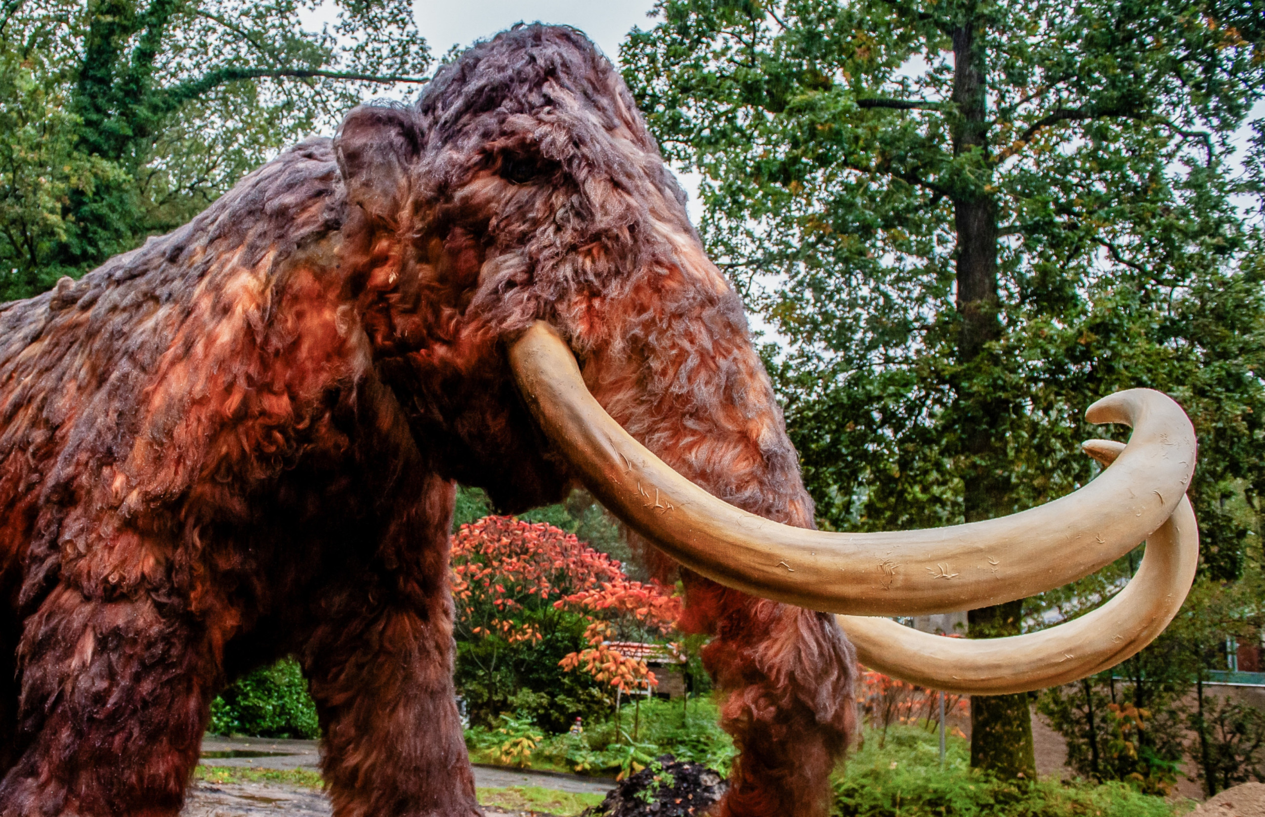 Prehistoric animals that once roamed the earth