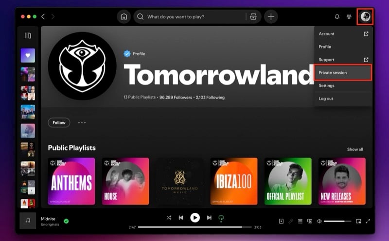 Spotify Private Session: What is it and How to Use it