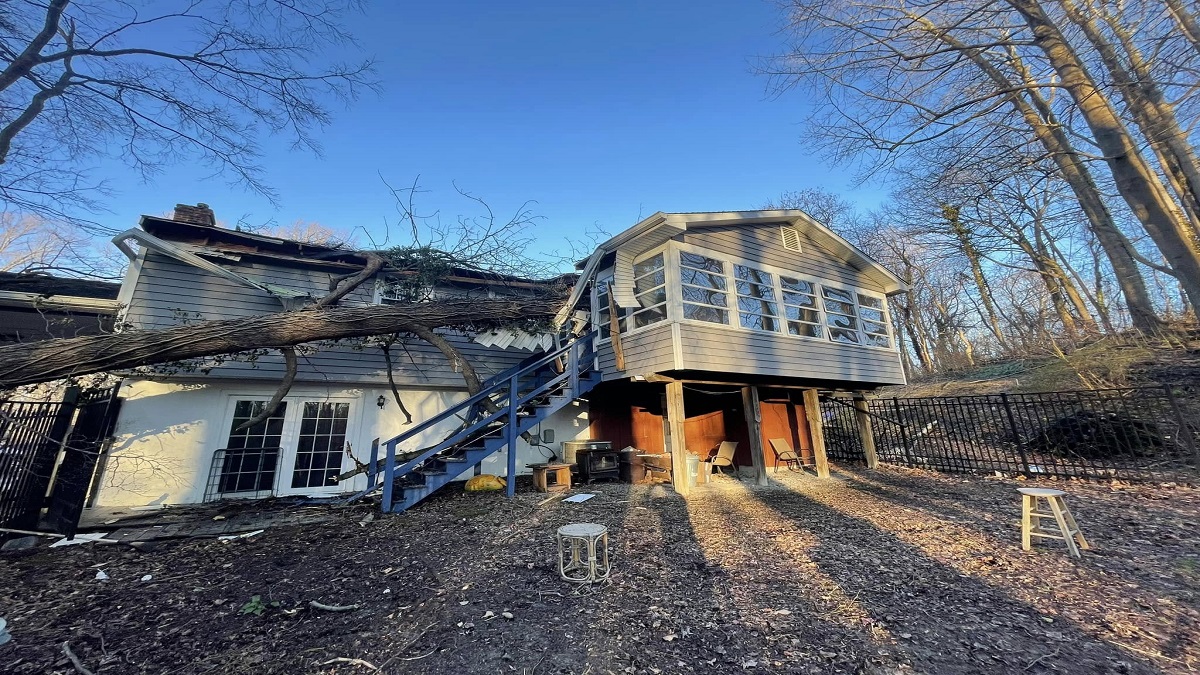 Firefighters Rescue Trapped Resident and Pet After Tree Crushes Home