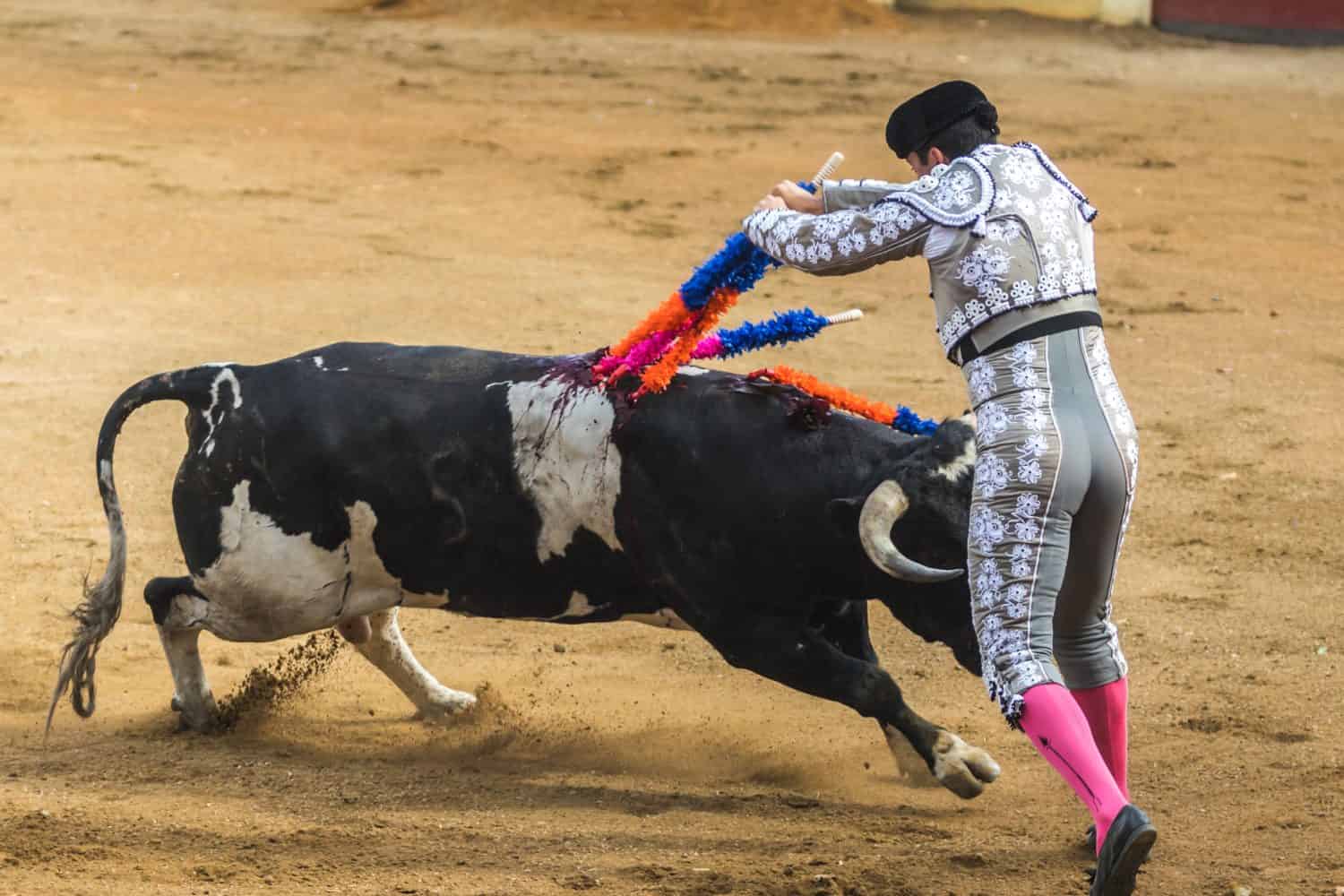 The Most Dangerous Bull in Bullfighting History Killed Three People