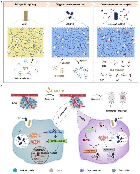Engineering a Cascade Catalytic Nanomedicine for Enhanced Cancer Therapy